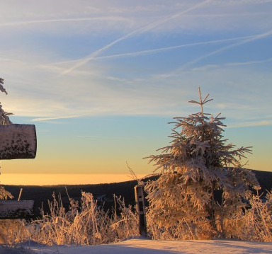 扣扣的体育世界 