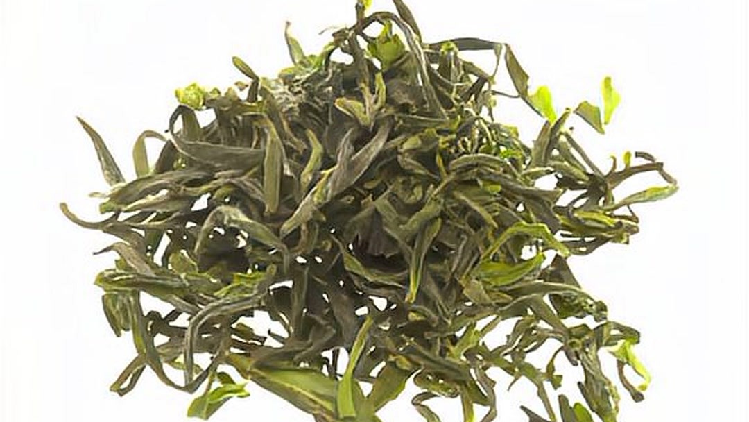 红茶和绿茶是同一棵茶树的?