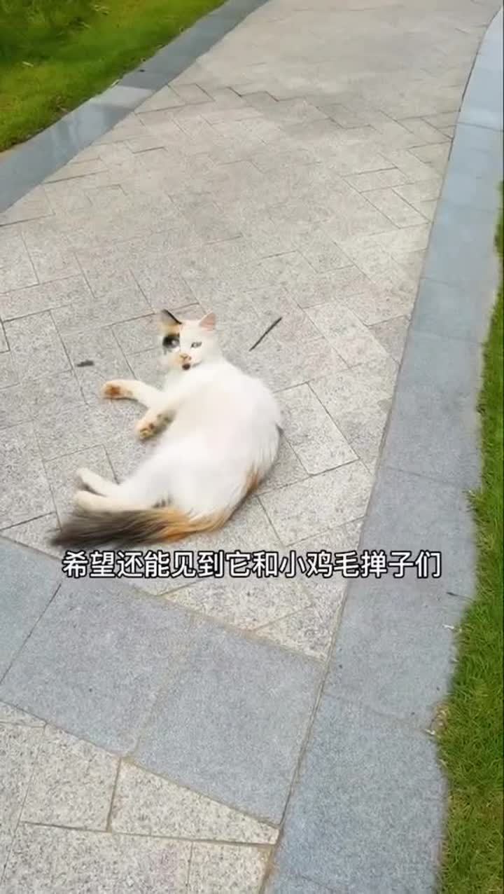 不管过去多久,只要我们再遇见,我也会第一眼就认出你