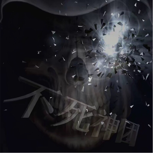xturtleh 