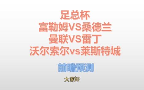 28日足总杯预测 富勒姆VS桑德兰曼联VS雷丁沃尔索尔vs莱斯特城 ...