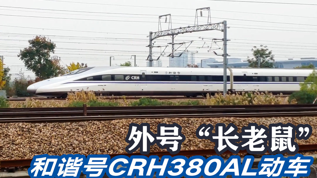 外号长老鼠的380AL动车,上海虹桥至厦门G1659次驶出杭州东站