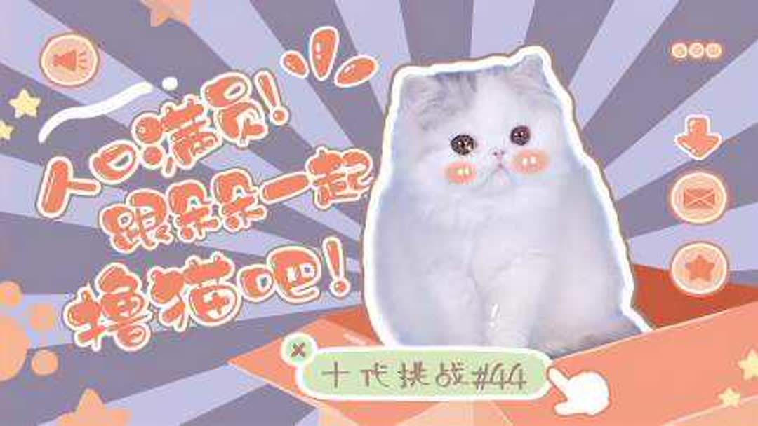 模拟人生4|零资金十代44:人口满员!跟朵朵一起撸猫吧!