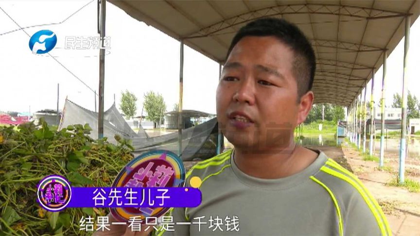 卖红薯少收2000元,微信后台联系不上对方,老人自责
