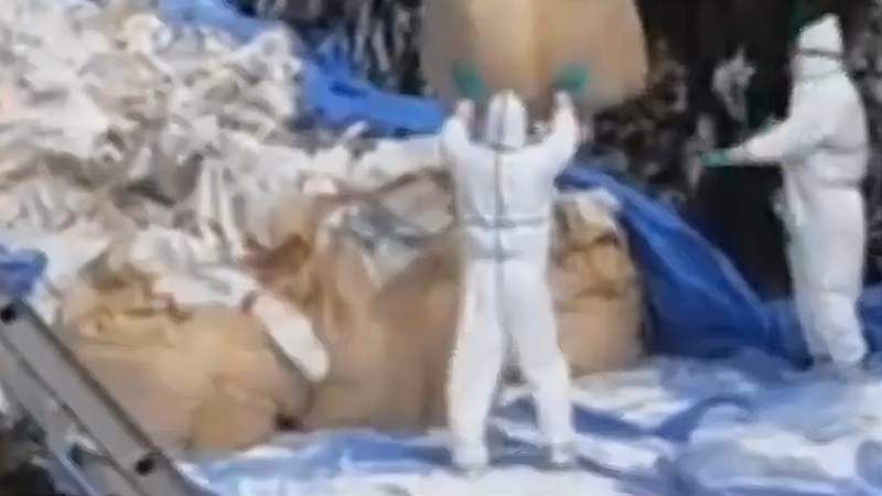 日本禽流感疫情持续蔓延!日本鸡蛋价格暴涨近八成