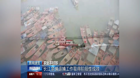   长江禁捕退捕工作取得阶段性成效