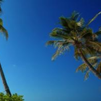 小周木青讲情感 