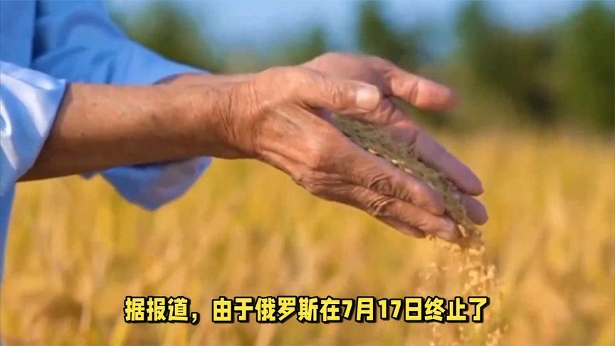 天气、干旱等因素威胁着粮食生产,全球粮食安全岌岌可危