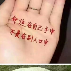用户52598801225 