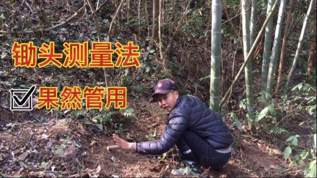 老莫再次验证锄头测量法,误差只有10cm,果然管用