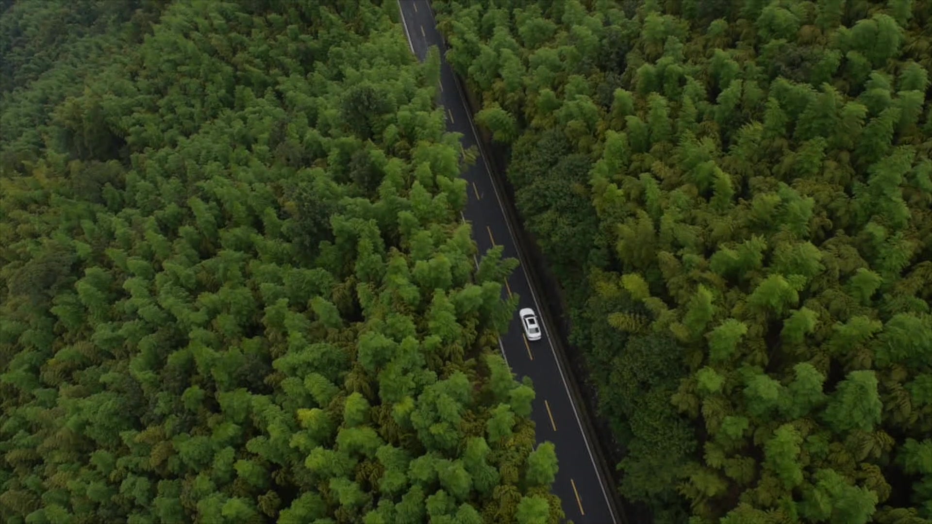《安吉宣传片》陈佳慧