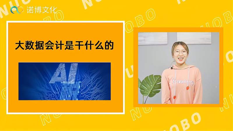 大数据会计是干什么的