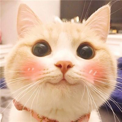 硬核干货人啊 