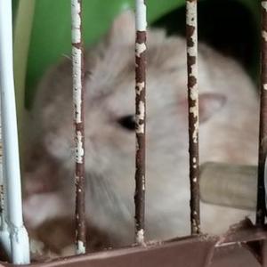 曾浚恒解说飞越家族 