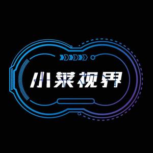 小莱视界 