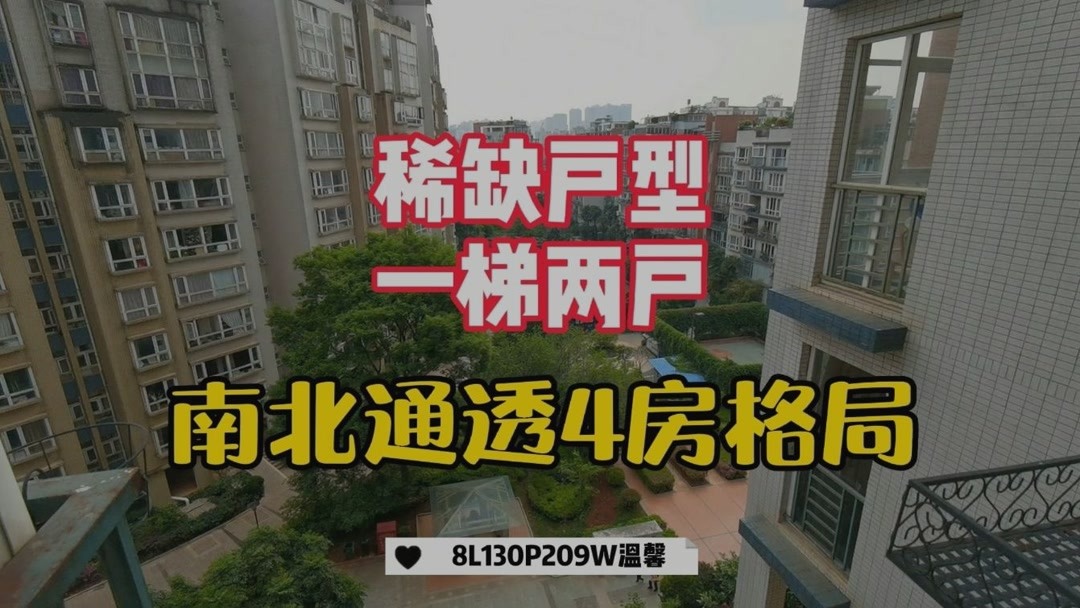 一梯两户电梯房,稀缺户型