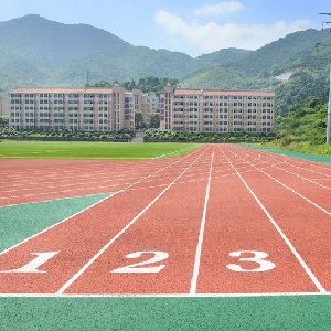 湖南升学y老师 