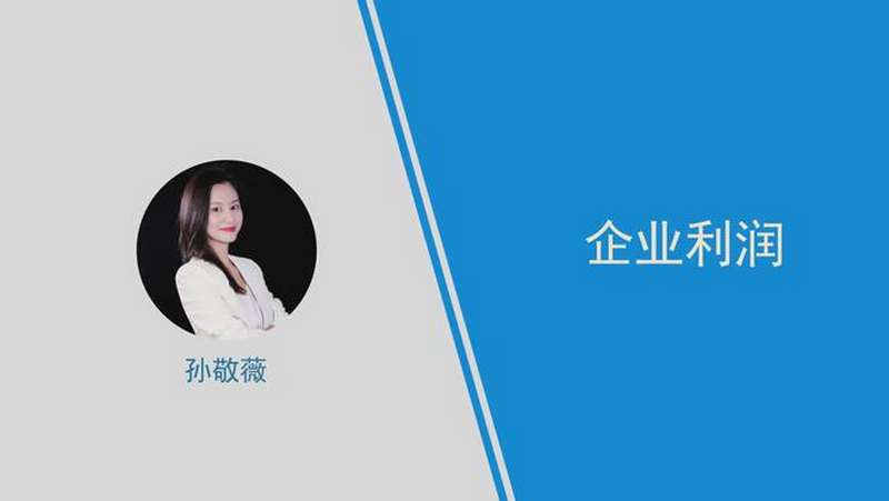 什么是企业利润