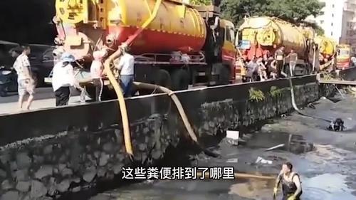 我国每天产生56万吨粪便,这些粪便排到了哪里,最终会如何处理