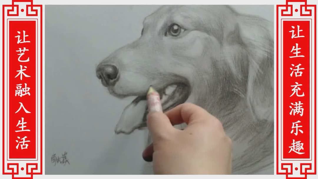 素描老师绘画大金毛,针对起形毛发细节讲解