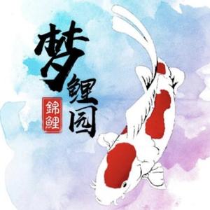 梦鲤园锦鲤 