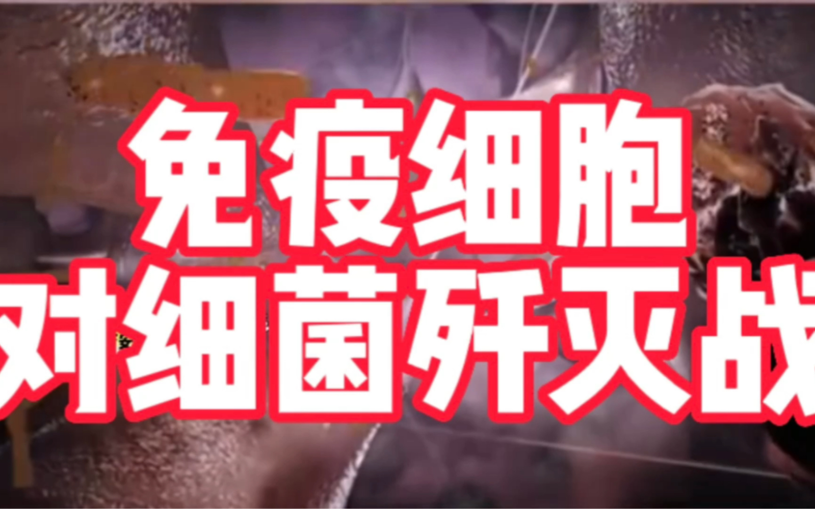 免疫细胞对细菌歼灭战