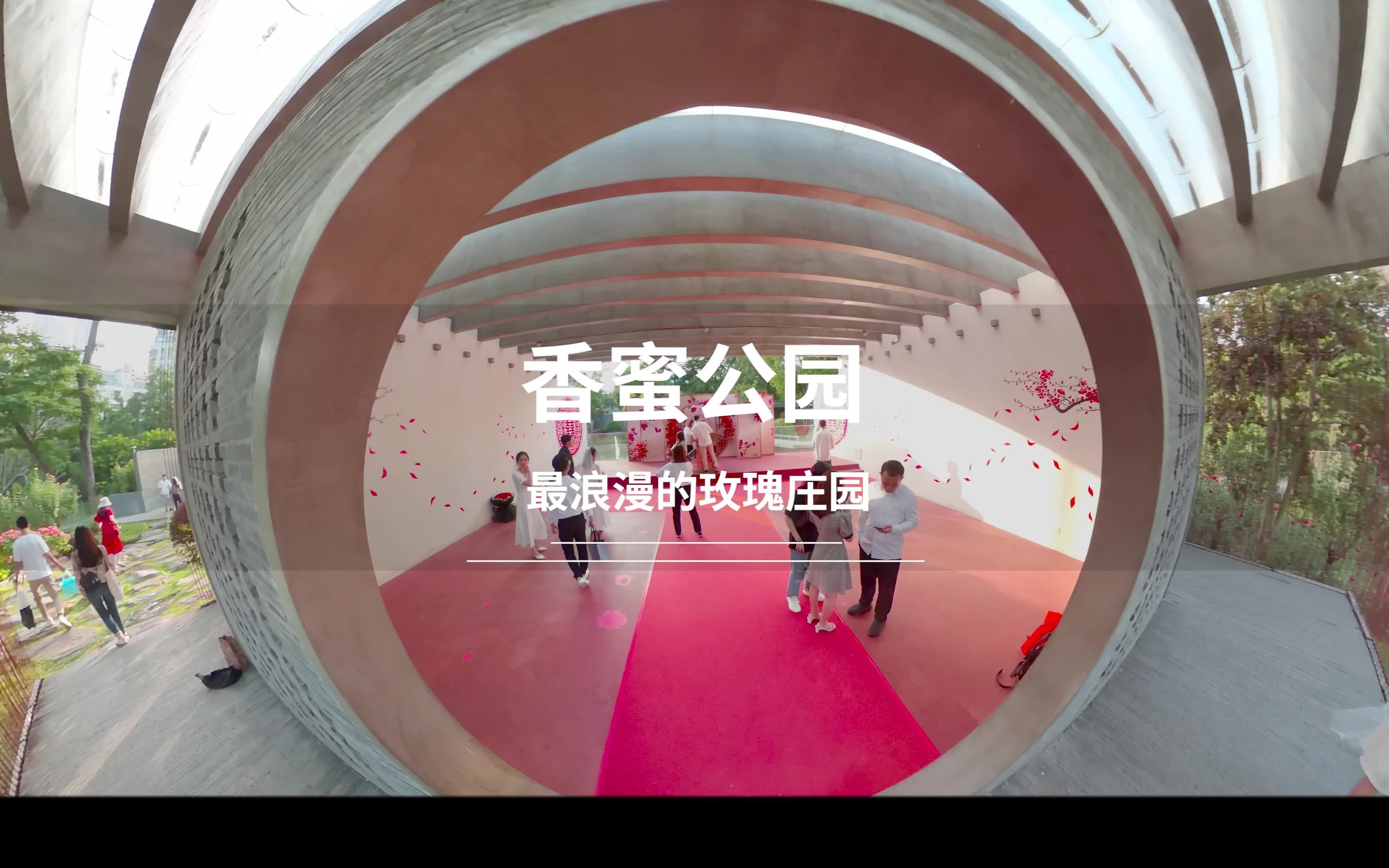 【走遍深圳004】全国最美婚姻登记处就隐藏在这个公园内!