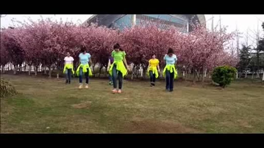 排舞《舞动中国》完整版 分解动作教学