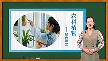 中小学劳动教育实施方案—劳动教育解决方案—知耕鸟劳动教育课堂