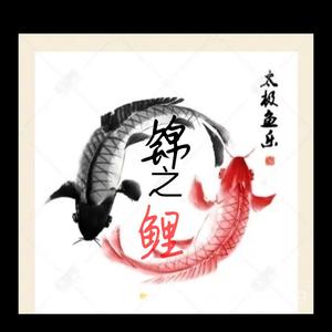精彩锦之鲤 