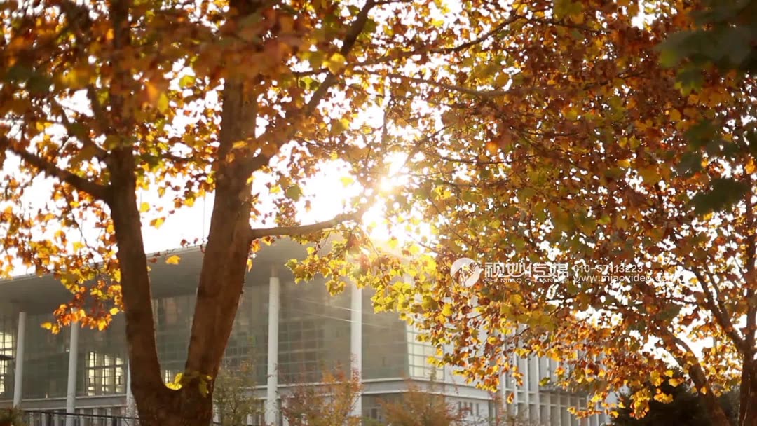 邢台职业技术学院宣传片