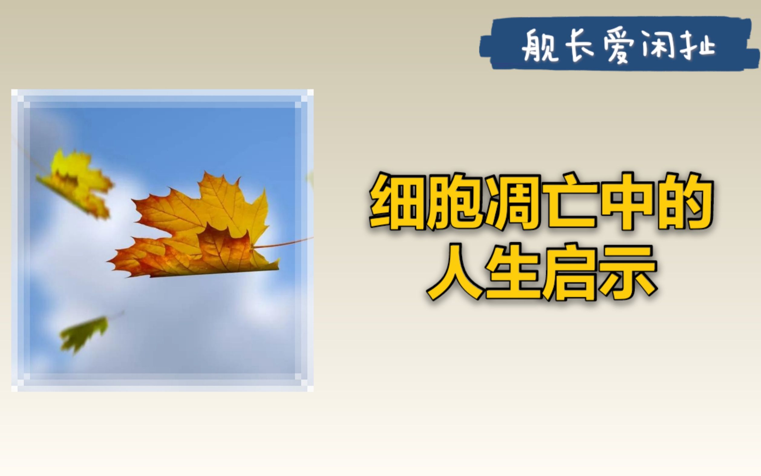 【舰长爱闲扯】细胞凋亡(apoptosis)中的人生启示