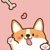 wj07211478961279389483 