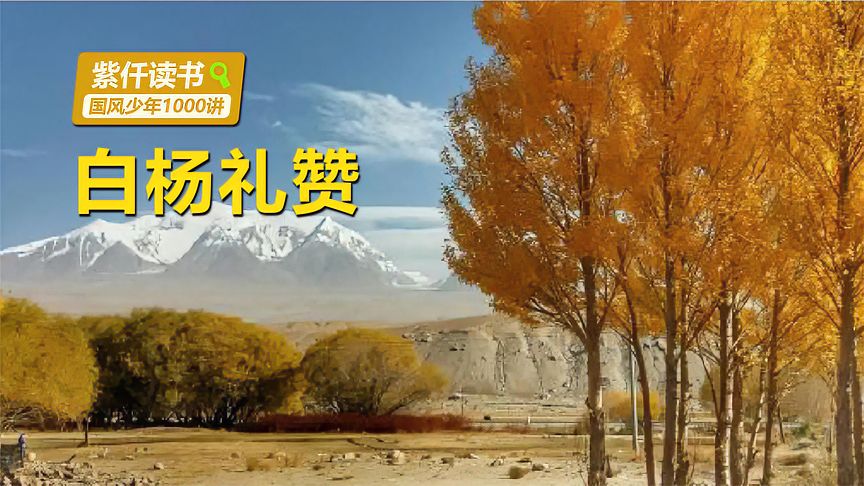 《白杨礼赞》:它是西北极普通的一种树,然而决不是平凡的树!