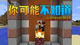你可能不知道《我的世界的火焰是如何蔓延的》Minecraft小知识 安逸...