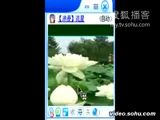 10月19日流星老师flash_1