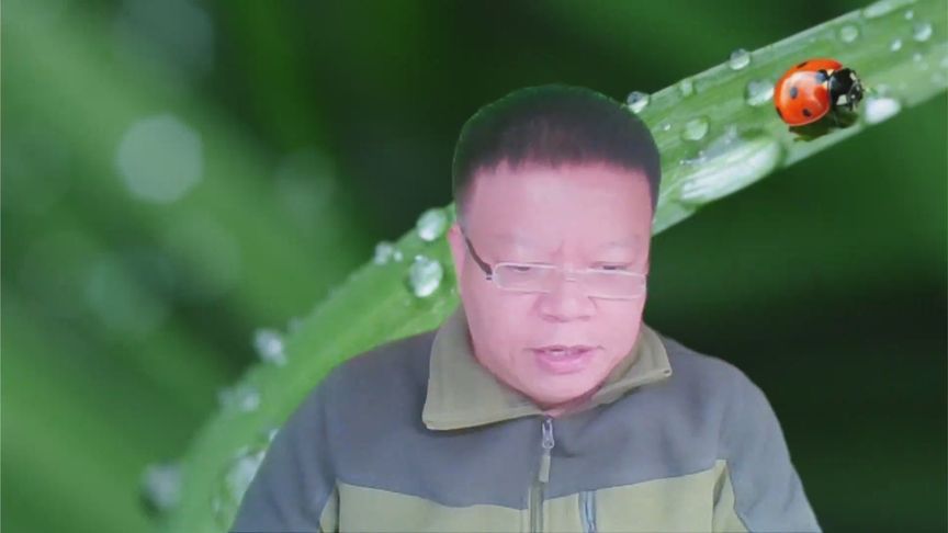 i语文(七下一):字词总复习:第一单元(腾讯会议)22-3-16