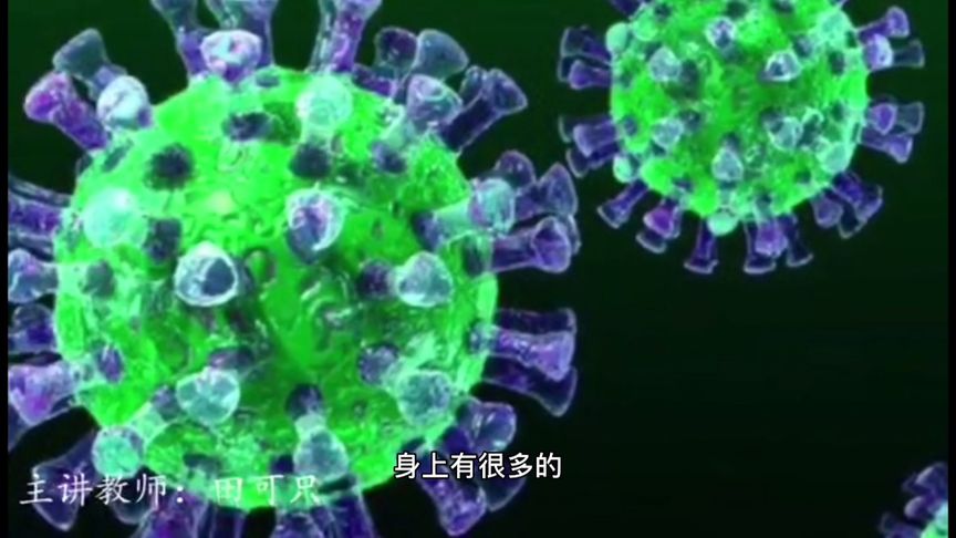 冠状病毒—长什么样?请看锡九美校—停课不停学的网络课堂。