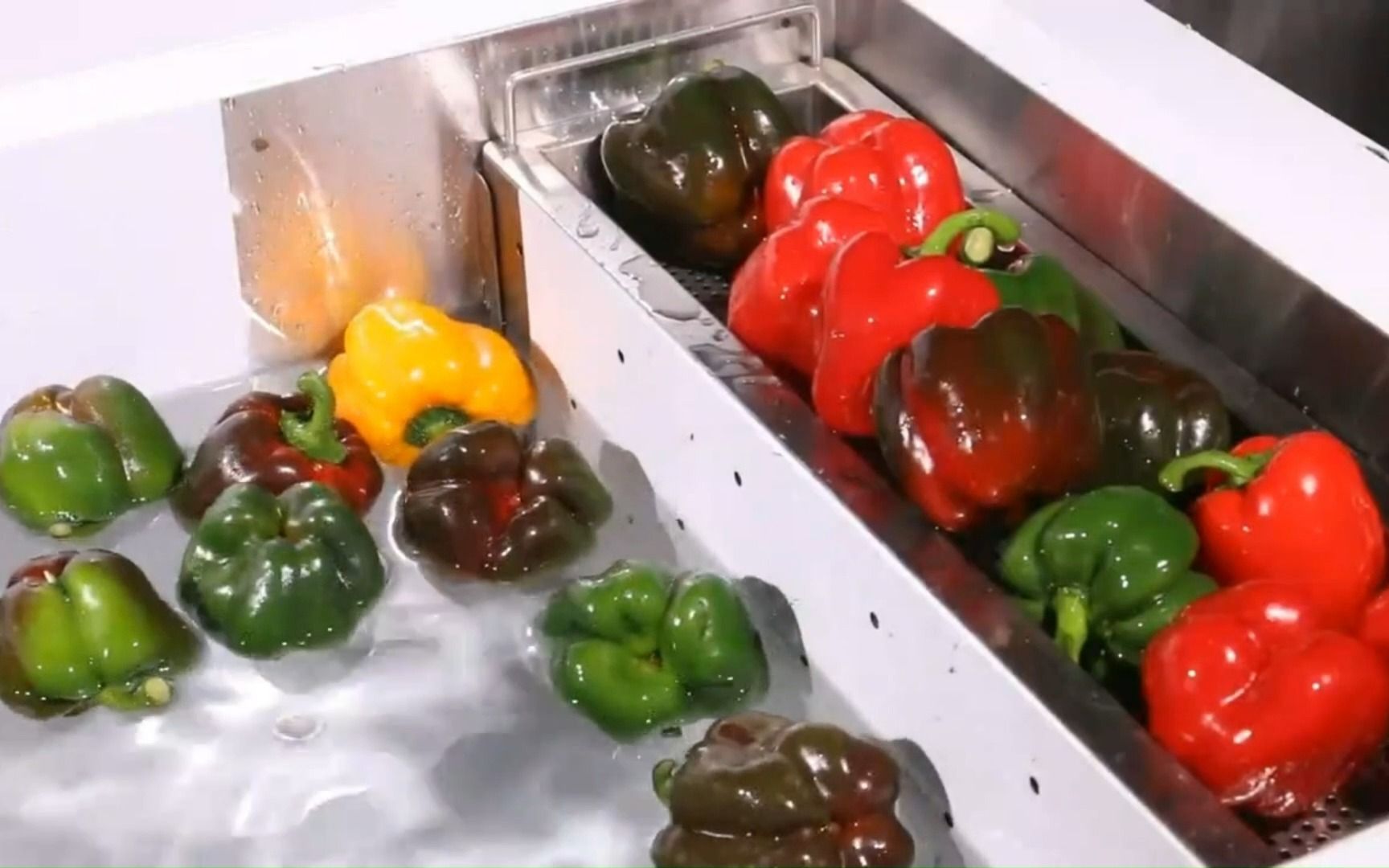 商用多功能清洗机,全自动臭氧消毒洗菜机蔬菜水果涡流清洗机。