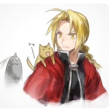 六块腹肌的猹狸 