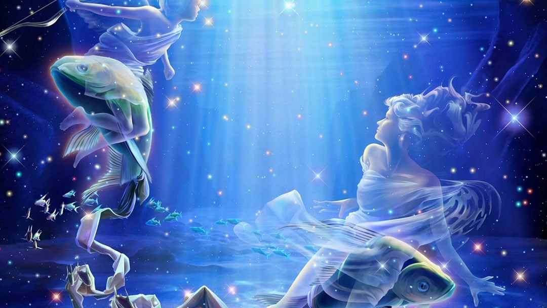 金星星座查询表【最新一】