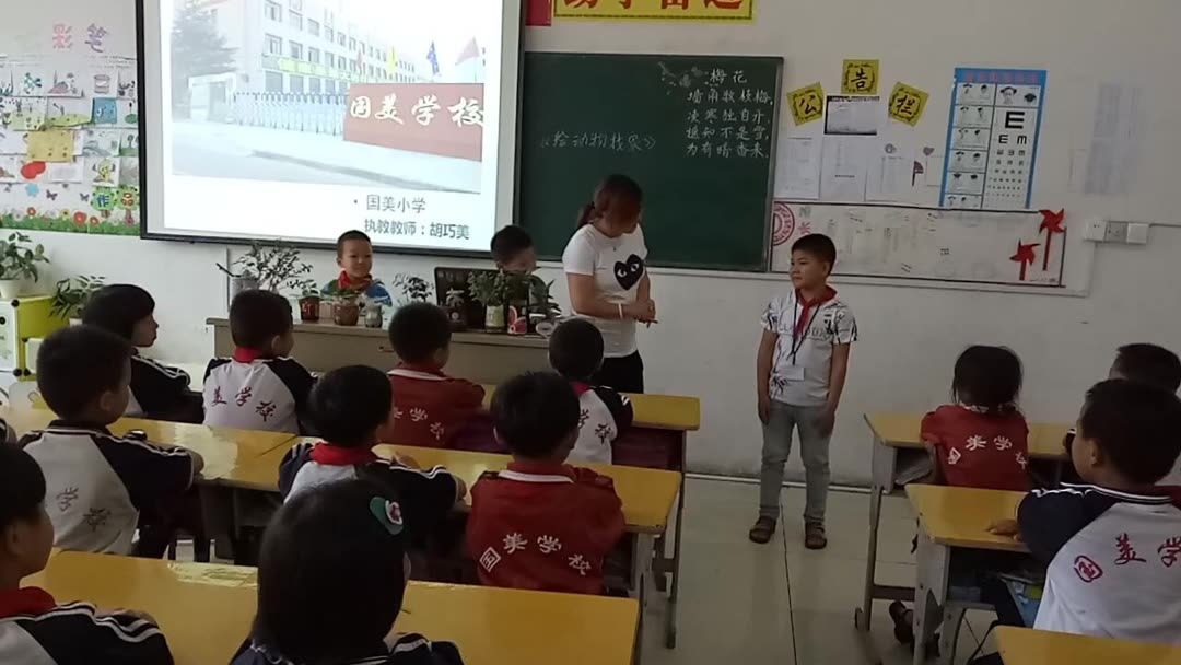 给动物找家教学视频