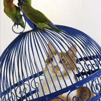 一个故事写满了曲折 