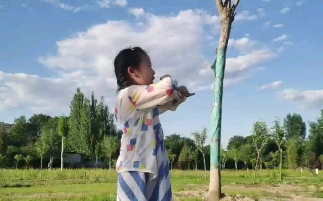 经典咏流传忠实小粉丝,念奴娇•中秋