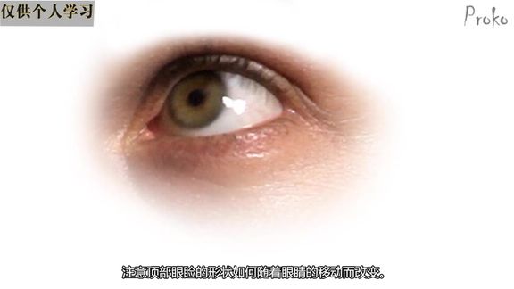 绘画系列教程|超级详细讲解眼睛的绘制方法和原理