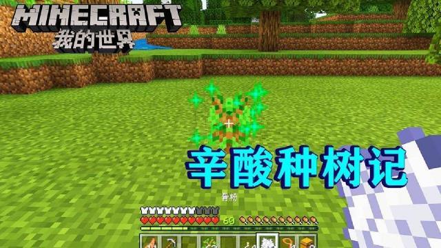 我的世界85:挑战屋里种树!80多个骨粉,催不胖一颗小树苗