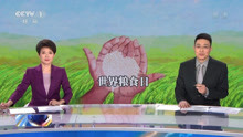 中国粮食安全有保障 为世界作出积极贡献