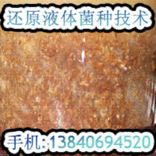 还原液体菌种技术 