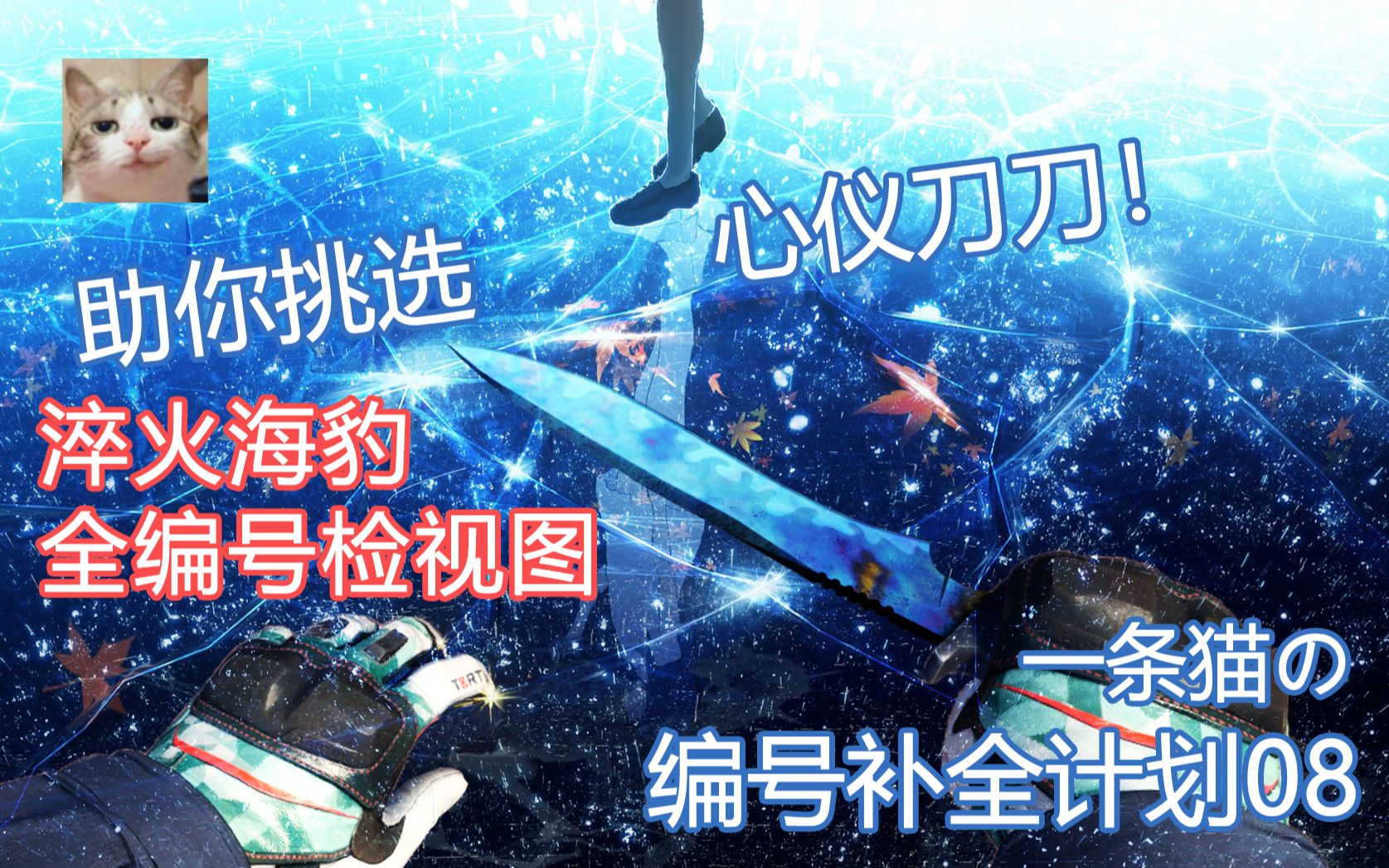 【CSGO】皮肤全编号收录计划 #08 淬火海豹短刀