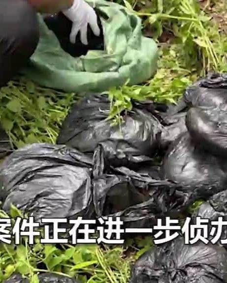 【警犬飓风嗅出的毒品比自己还重 】6月26日是#国际禁毒日#。近日,...